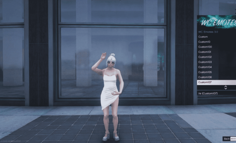 Emotes Menu System V13 [Custom Animations][DpEmotes][Standalone ...